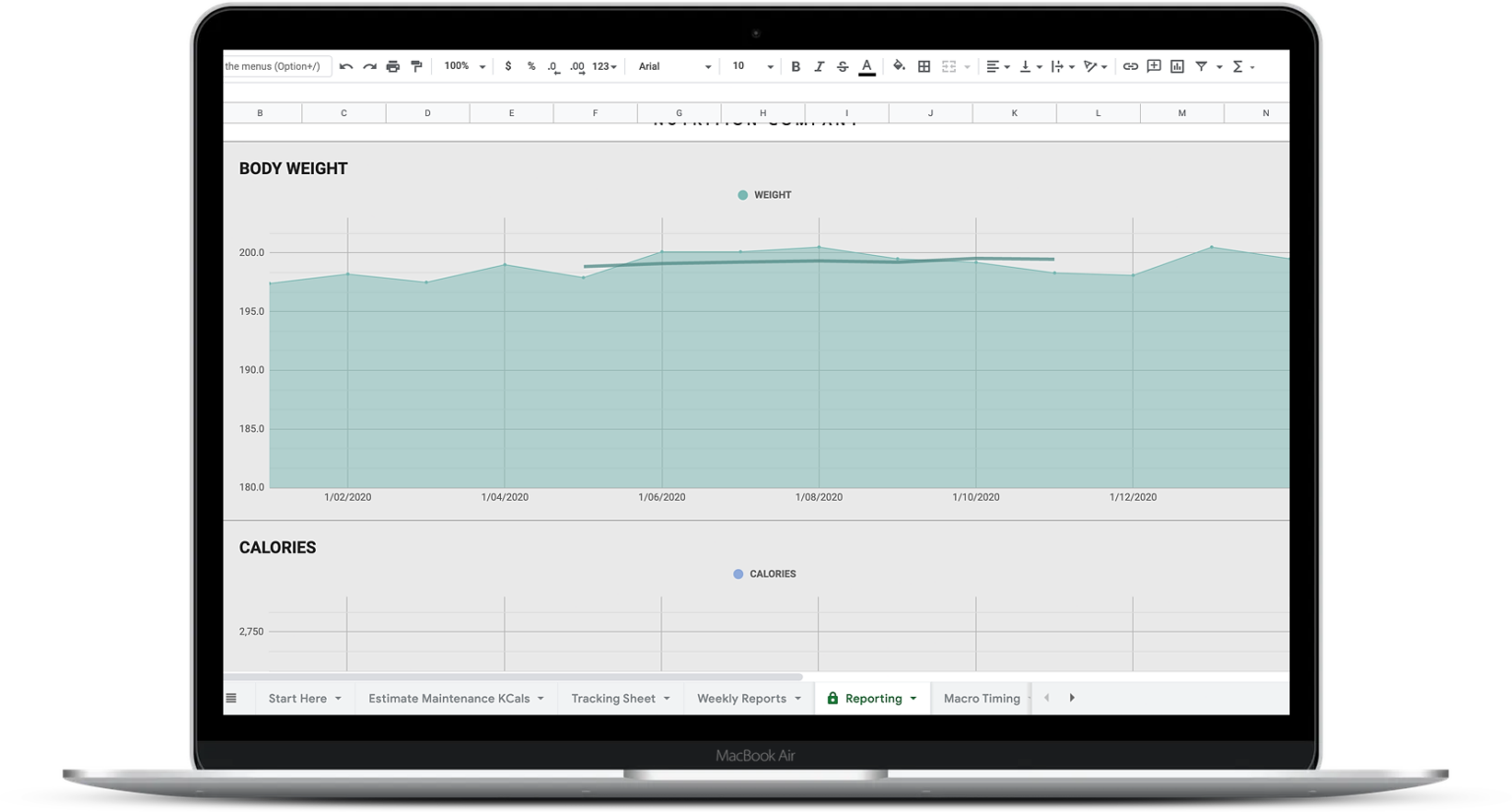 Macronutrient Reporting & Check-In Template - Straker Nutrition Co.