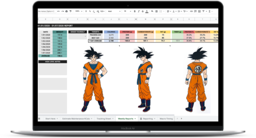 Macronutrient Reporting & Check-In Template - Straker Nutrition Co.